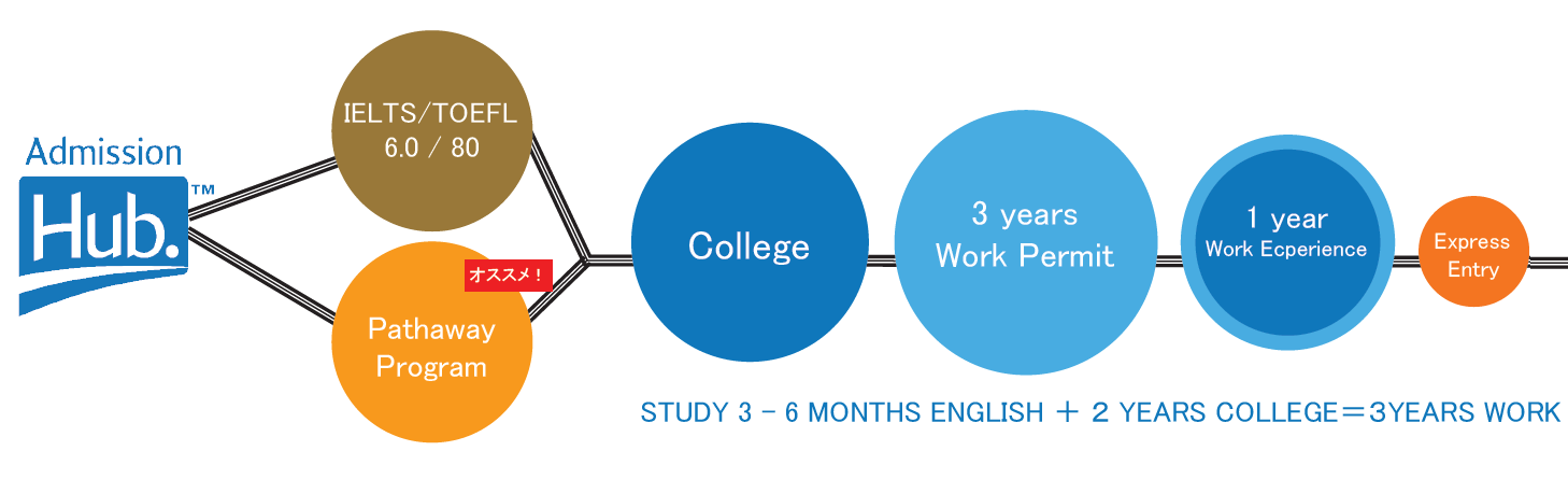 カレッジ留学 ( College ) | Admission Hub Development Sandbox
